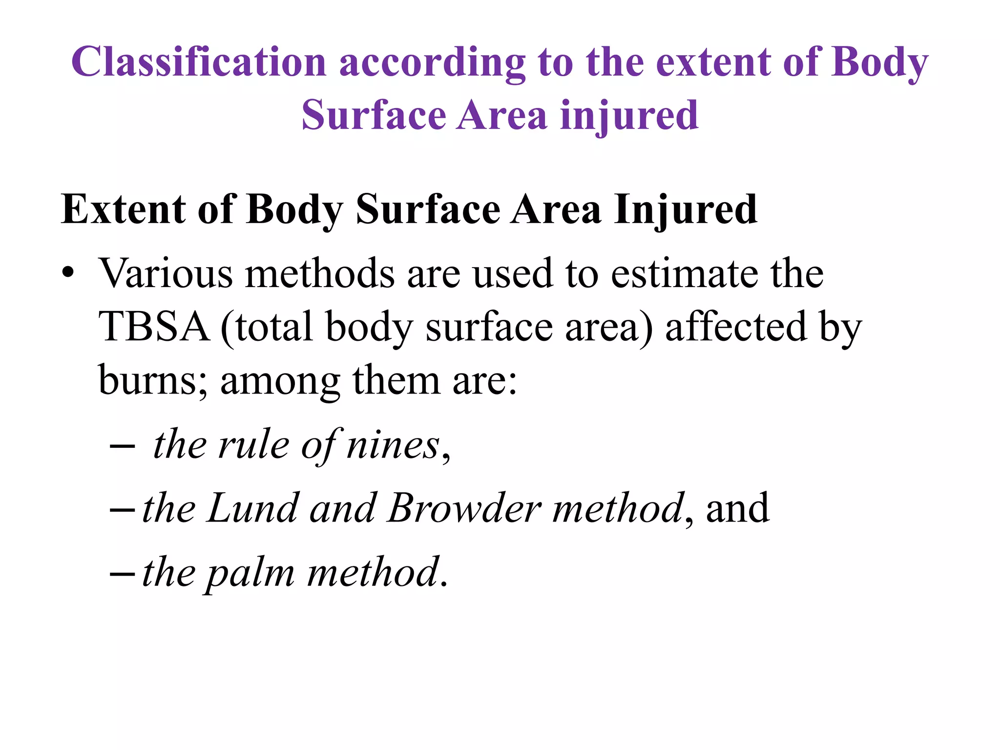 Burns | PPTX