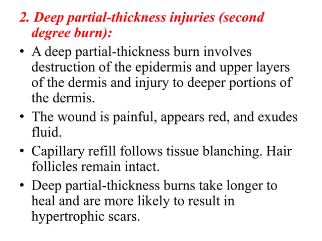 Burns | PPTX | Skin and Dermatology | Diseases and Conditions