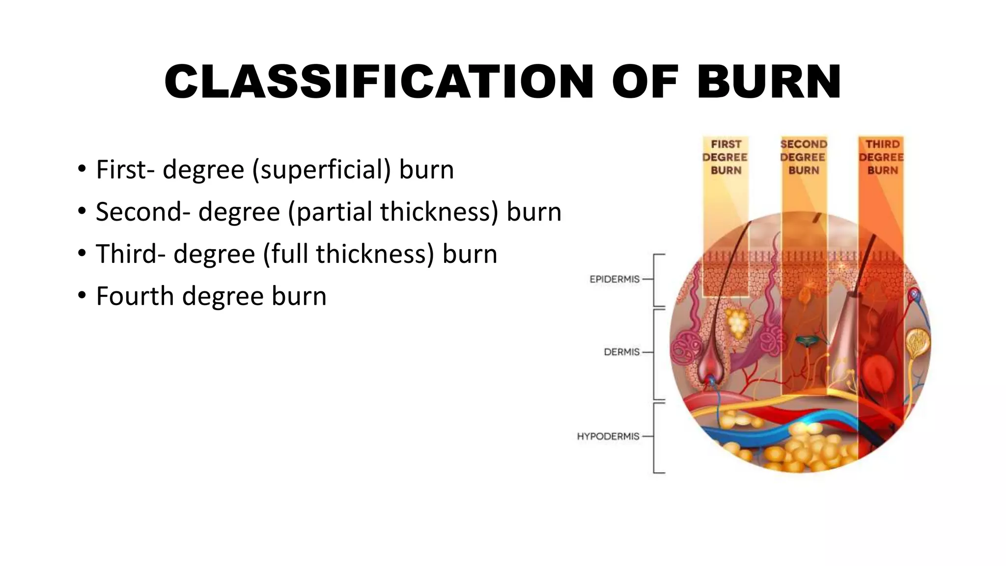 Burns | PPTX