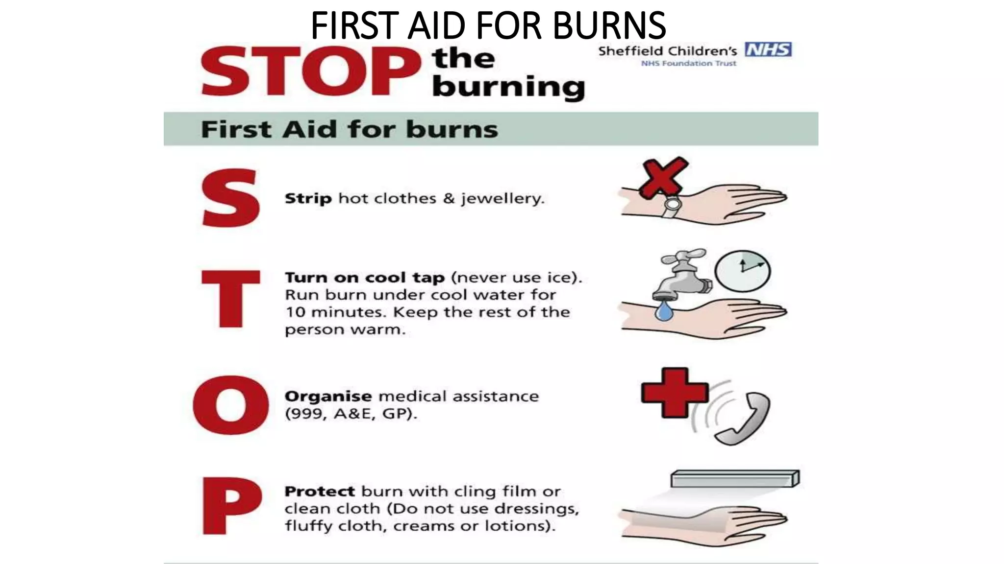 Burns | PPTX