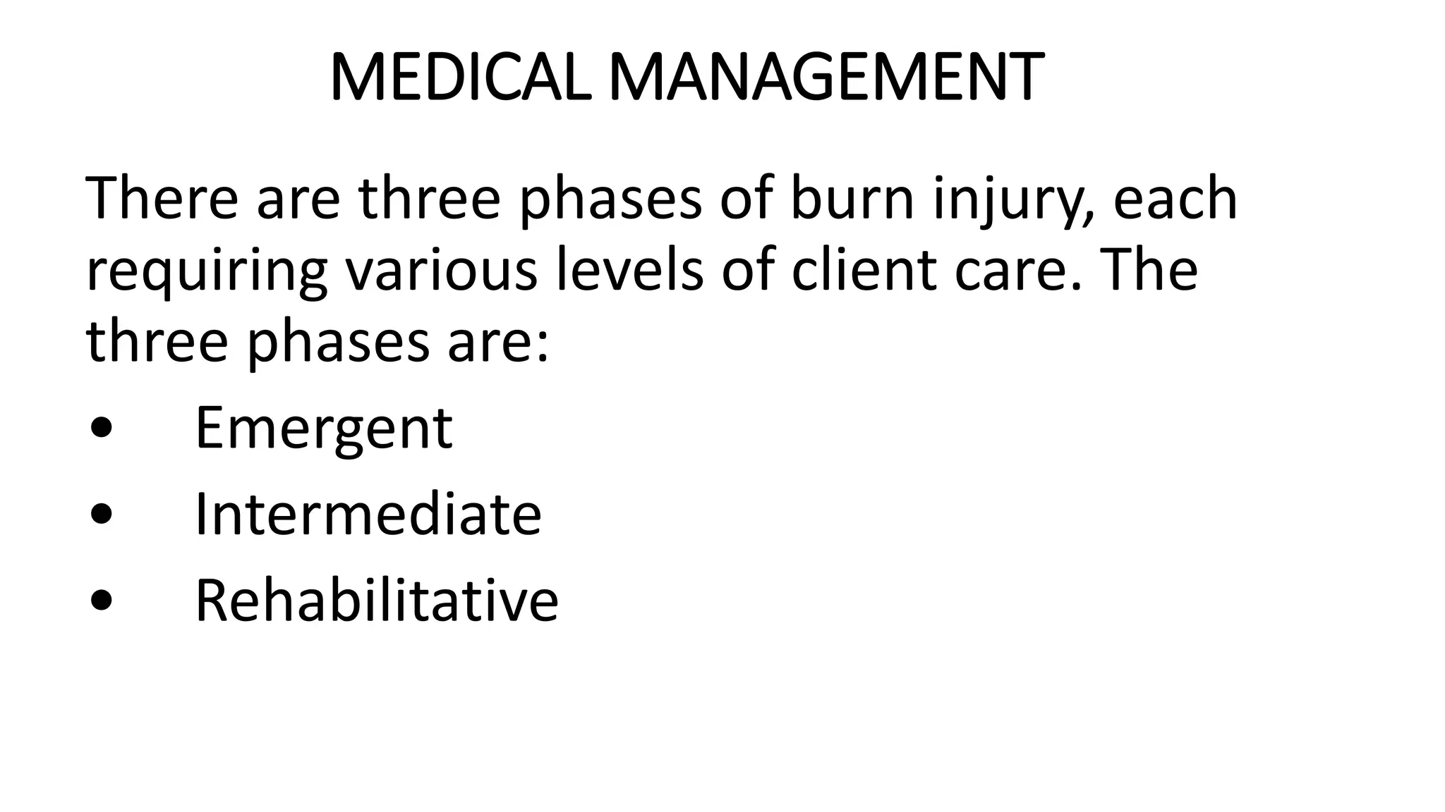 Burns | PPTX