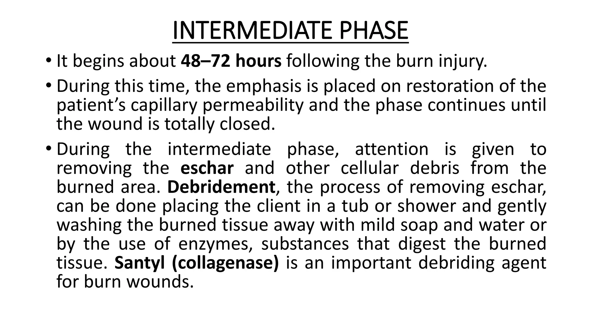 Burns | PPTX