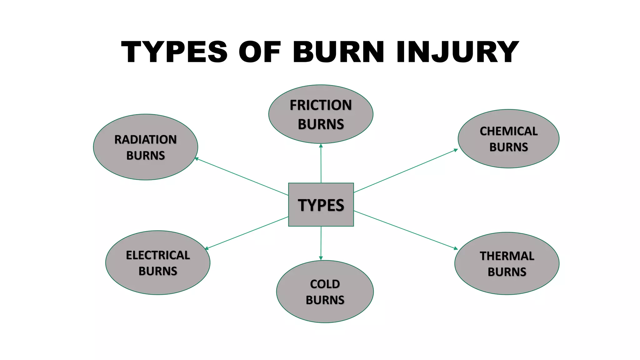 Burns | PPTX