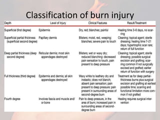Burns | PPT