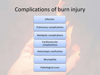 Burns | PPT