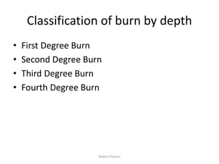 Burns | PDF