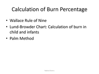 Burns | PDF
