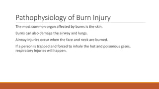 Burn Injuries | PPTX