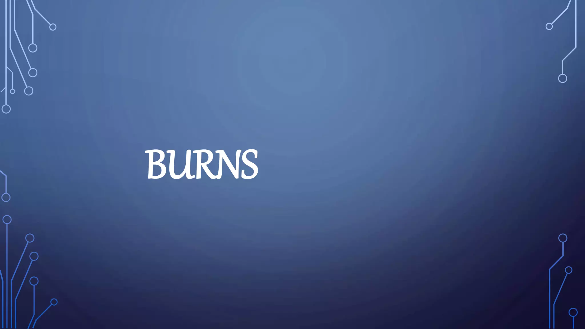 Burns | PPTX