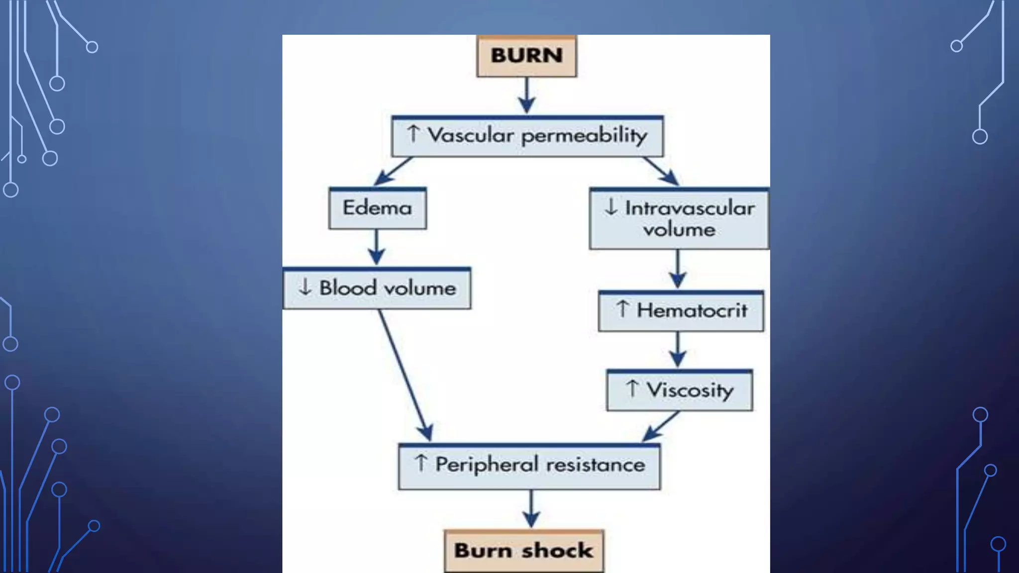 Burns | PPT