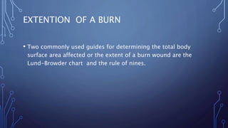 Burns | PPTX