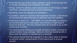 Burns | PPTX