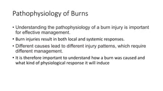 Burns.pptx