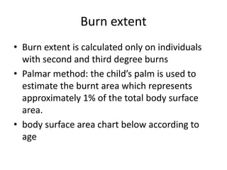 Burns.ppt