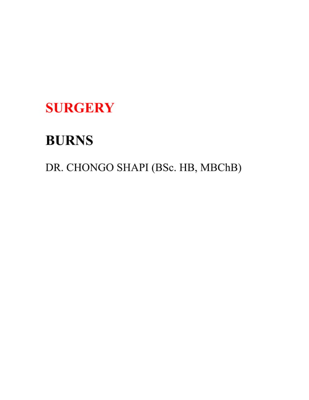 BURNS.pdf