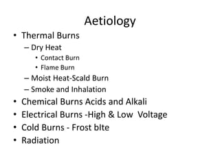 Burns.pptx