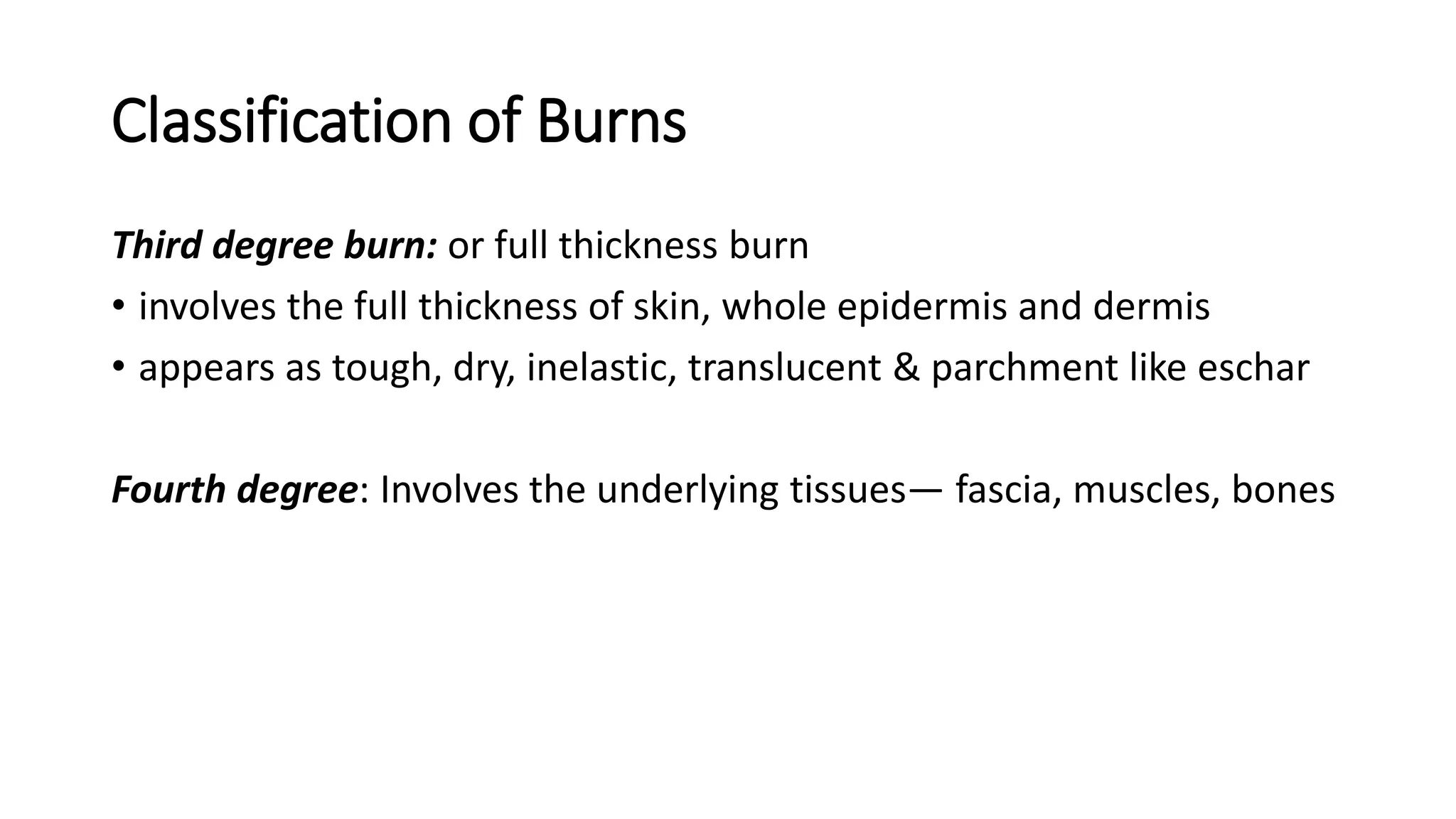 Burns.pptx