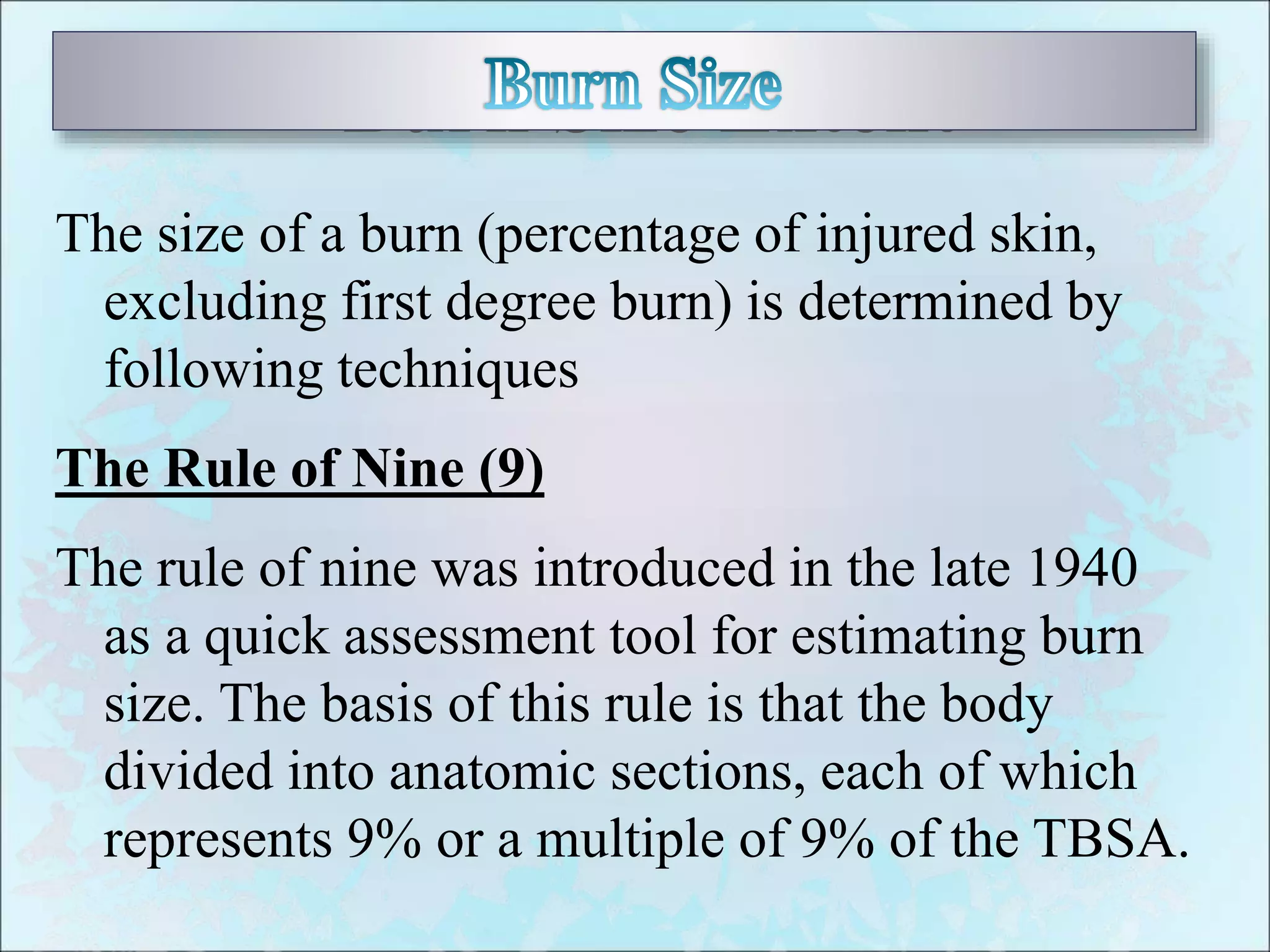 BURNS.ppt