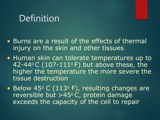 Burns.pptx