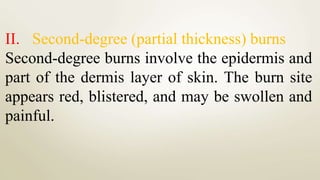 Burns.pptx