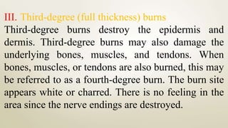 Burns.pptx