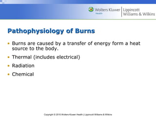 Burns.ppt | First Aid | Injuries