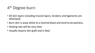 BURNS - very basic presentation for idea | PPTX