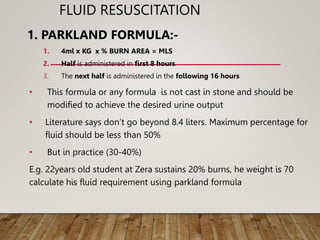 BURNS.pptx lecture presentation surgery. | PPTX
