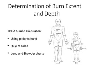 Burns , Guidelines, protocols and Management.pptx