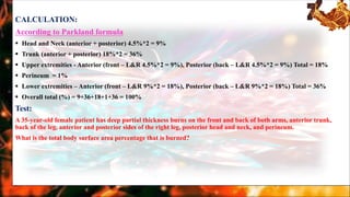 BURNS, CALCULATION OF BURNS, CALCULATION OF FLUID REQUIREMENT AND ...