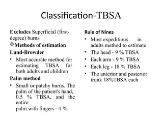 Burns power point presentation slid.pptx