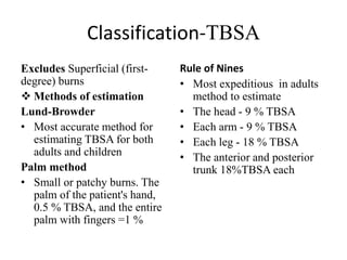 Burns power point presentation 12121.pdf