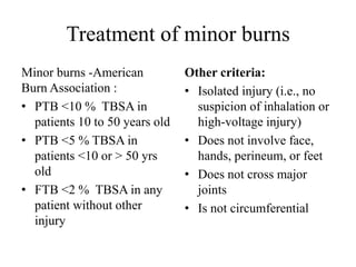 Burns power point presentation 12121.pdf