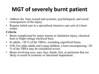 Burns power point presentation 12121.pdf