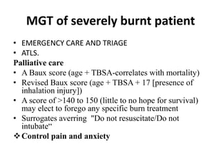 Burns power point presentation 12121.pdf