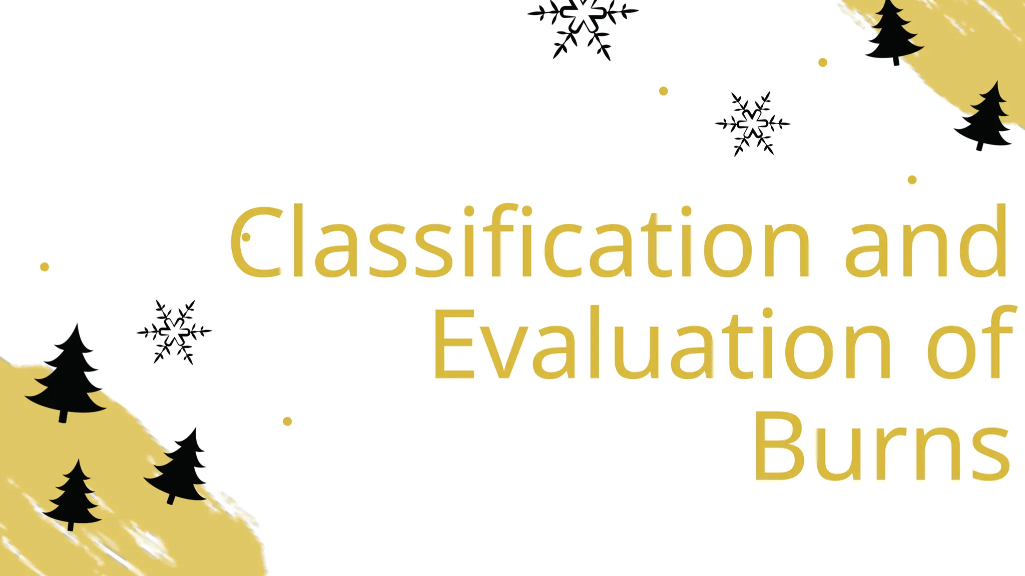Burns Classification and Evaluation.pptx