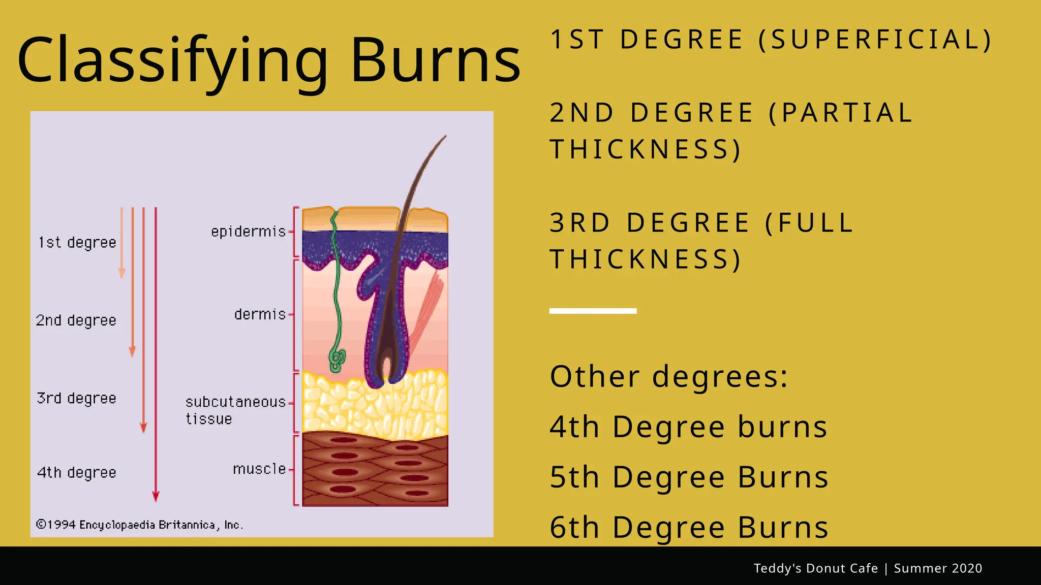 Burns Classification and Evaluation.pptx