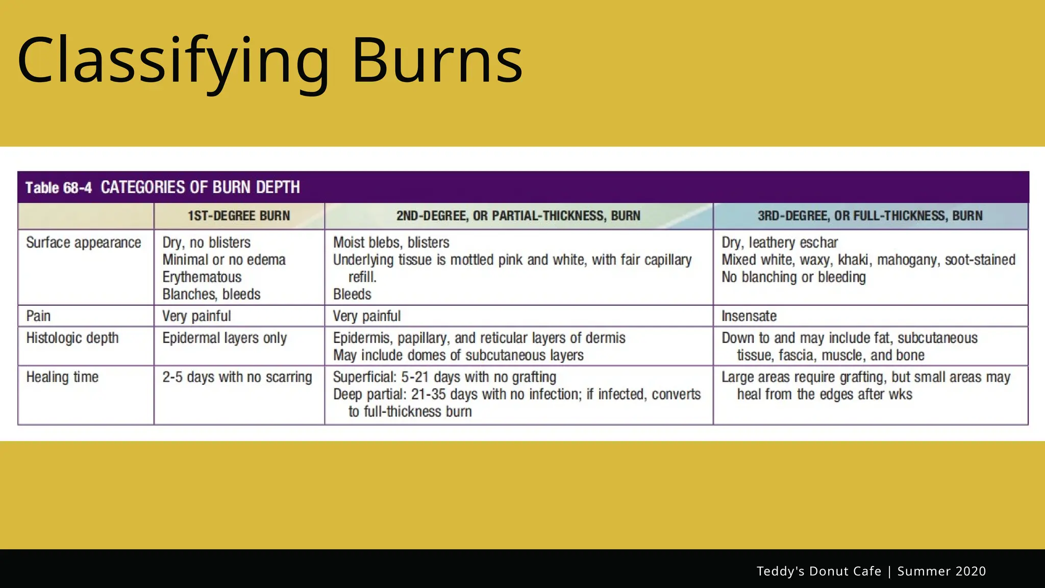 Burns Classification and Evaluation.pptx