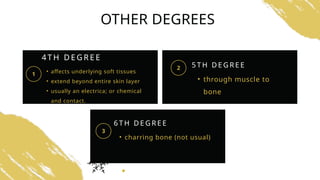 Burns Classification and Evaluation.pptx