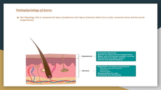 Burns- Pathophysiology and Management .pptx