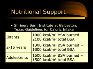 BURNS.ppt BURNS.ppt BURNS.pptBURNS.ppt BURNS.ppt