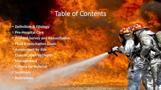 Comprehensive Management and Care of Burn Injuries: From Assessment to ...