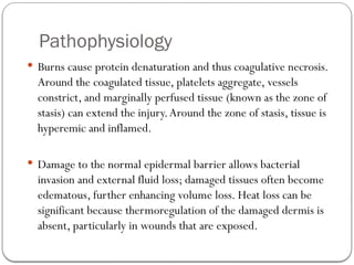 Comprehensive Overview of Burns: Causes, Classification, and Management ...