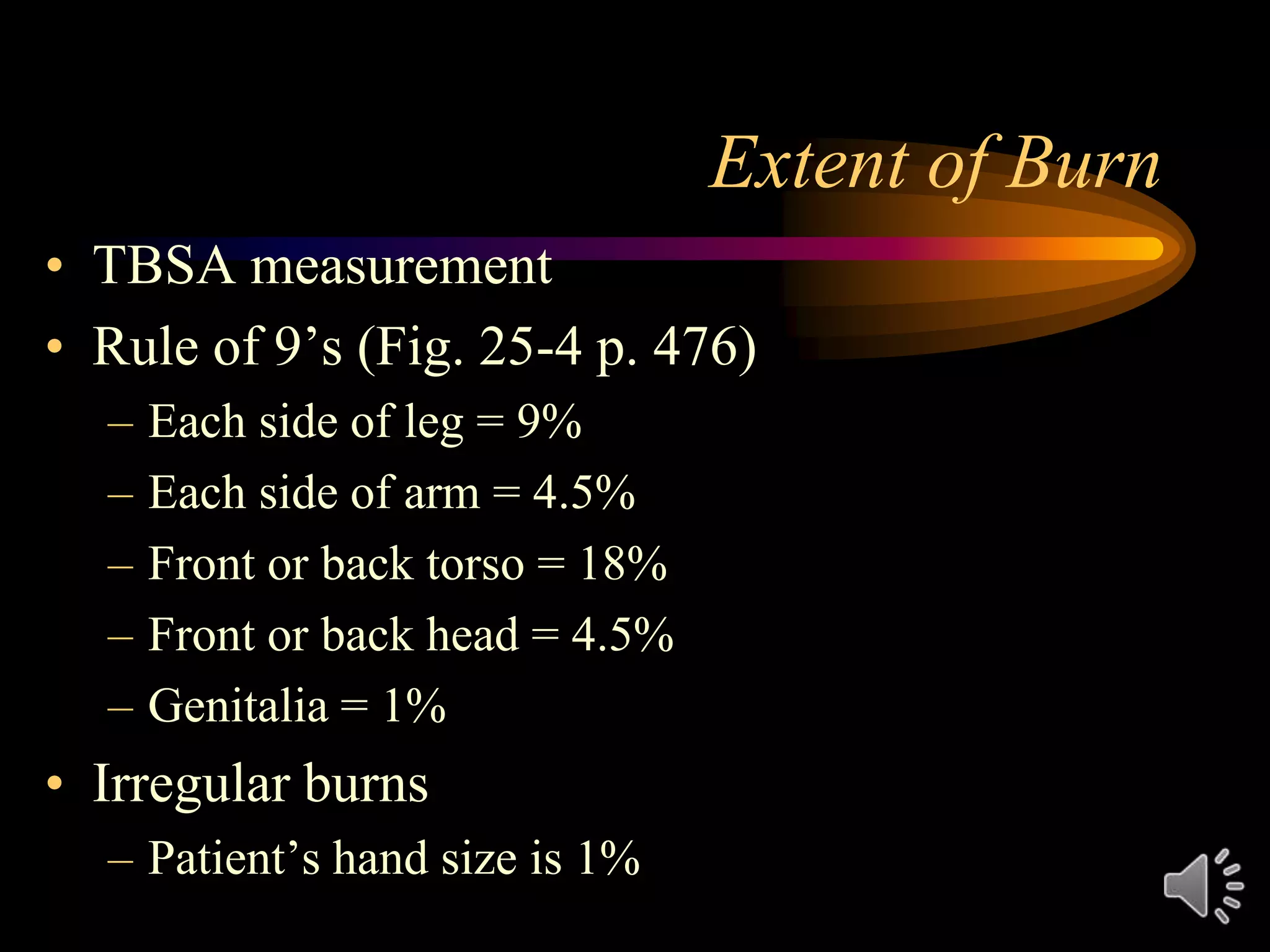 Burns complete presentation | PPTX