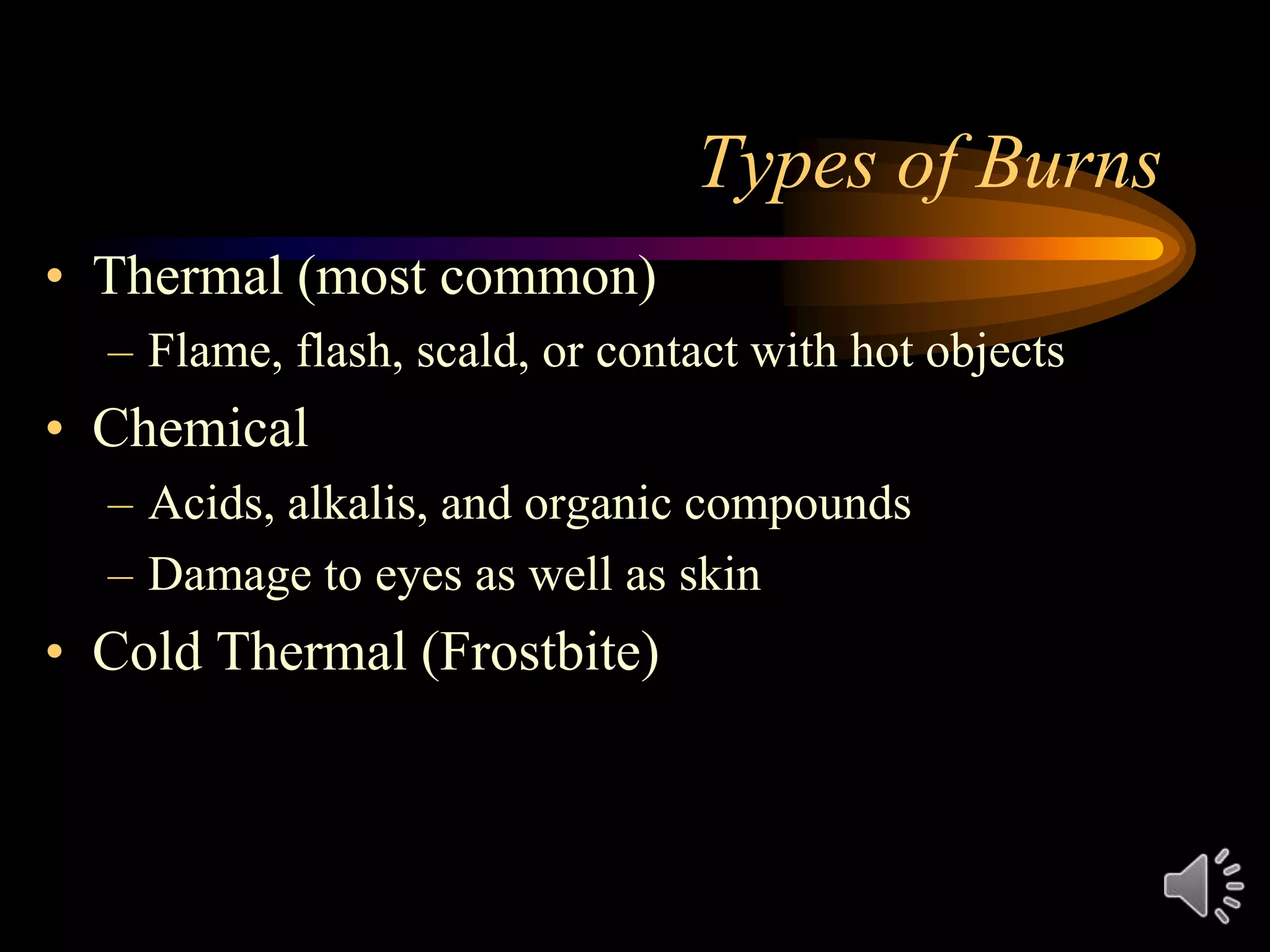 Burns complete presentation | PPTX