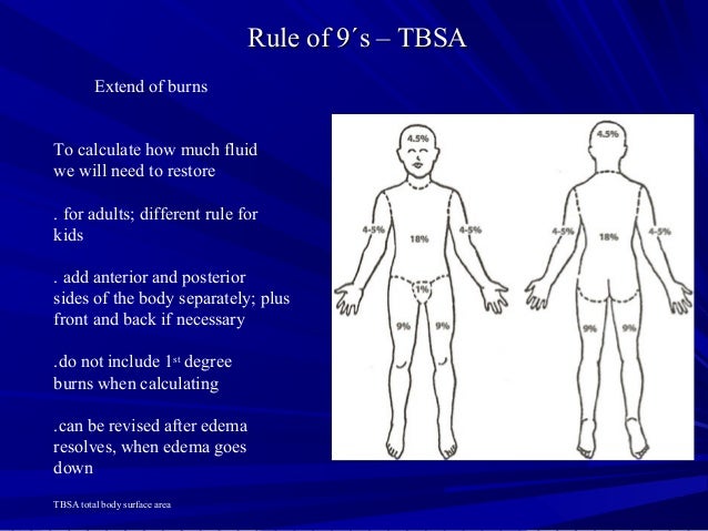 Burns Forner Gros, MJ.
