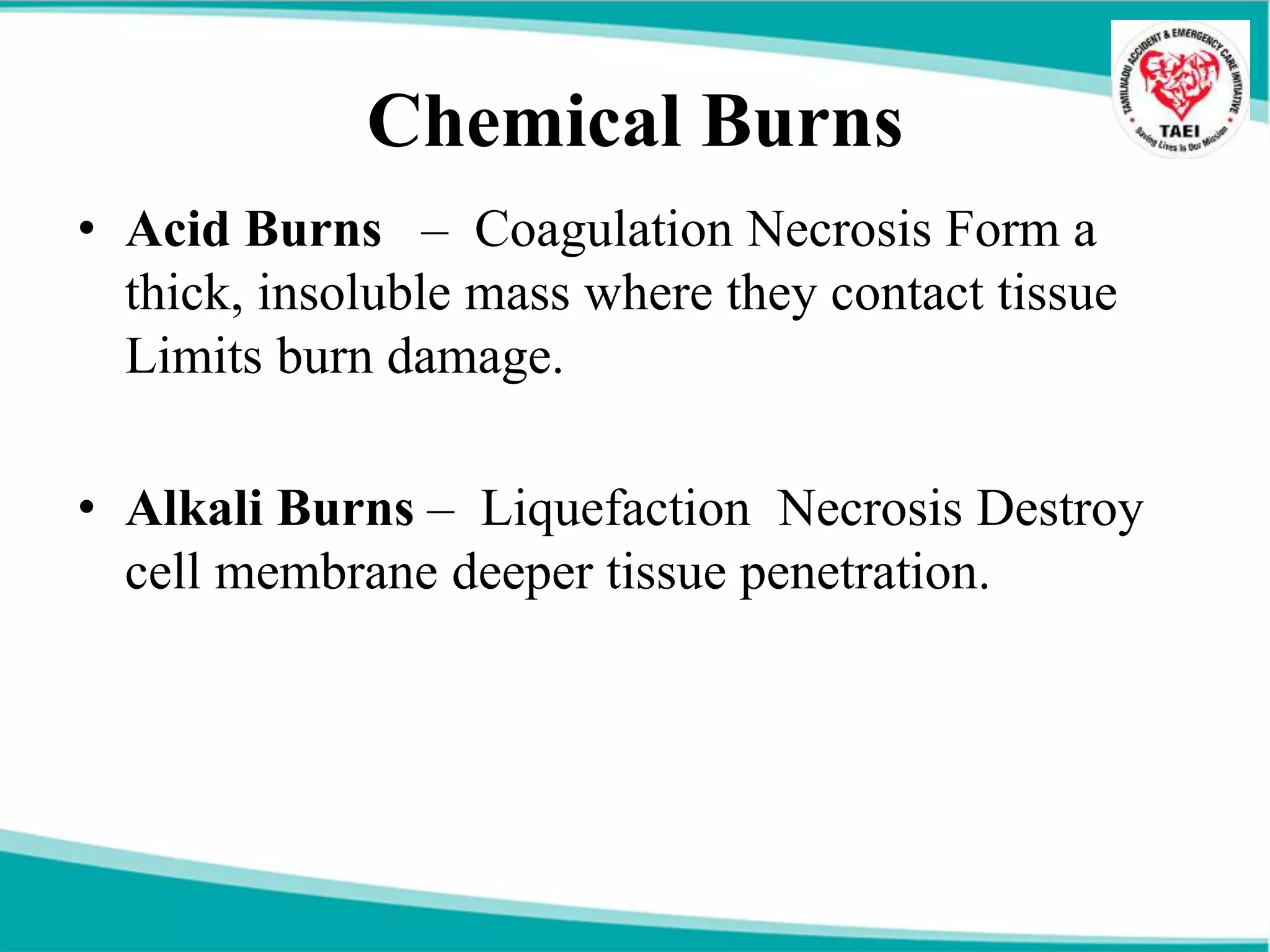 Burns-Original.pptx