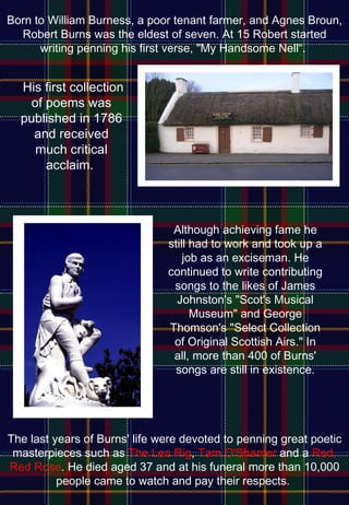 Burns Slides | PPT
