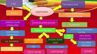 Burns presentation by 2nd yr MSc nursing student | PPTX