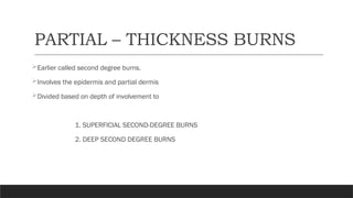 BURNS classification and management short presentation | PPTX